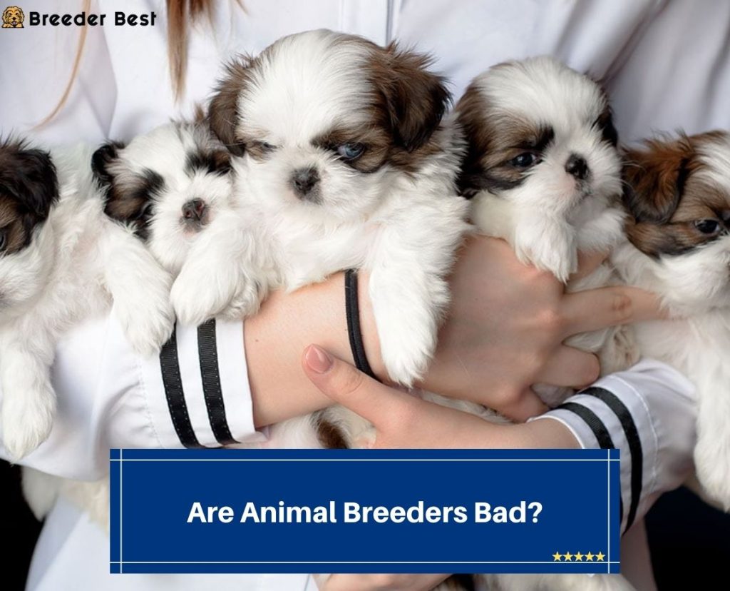Are Animal Breeders Bad? (2024) - Breeder Best