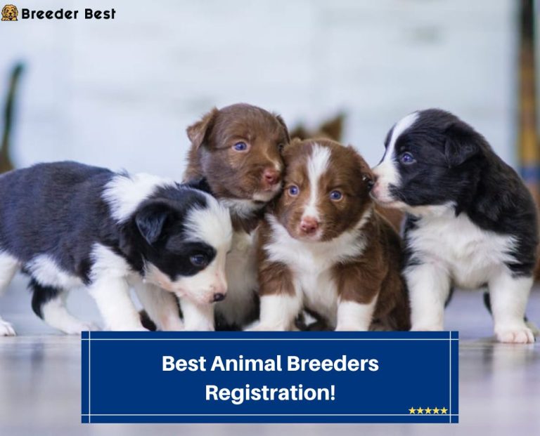 Best Animal Breeders Registration! (2024) - Breeder Best